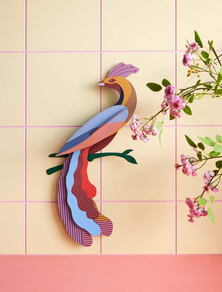 Paradise Bird, Obi - Studio ROOF