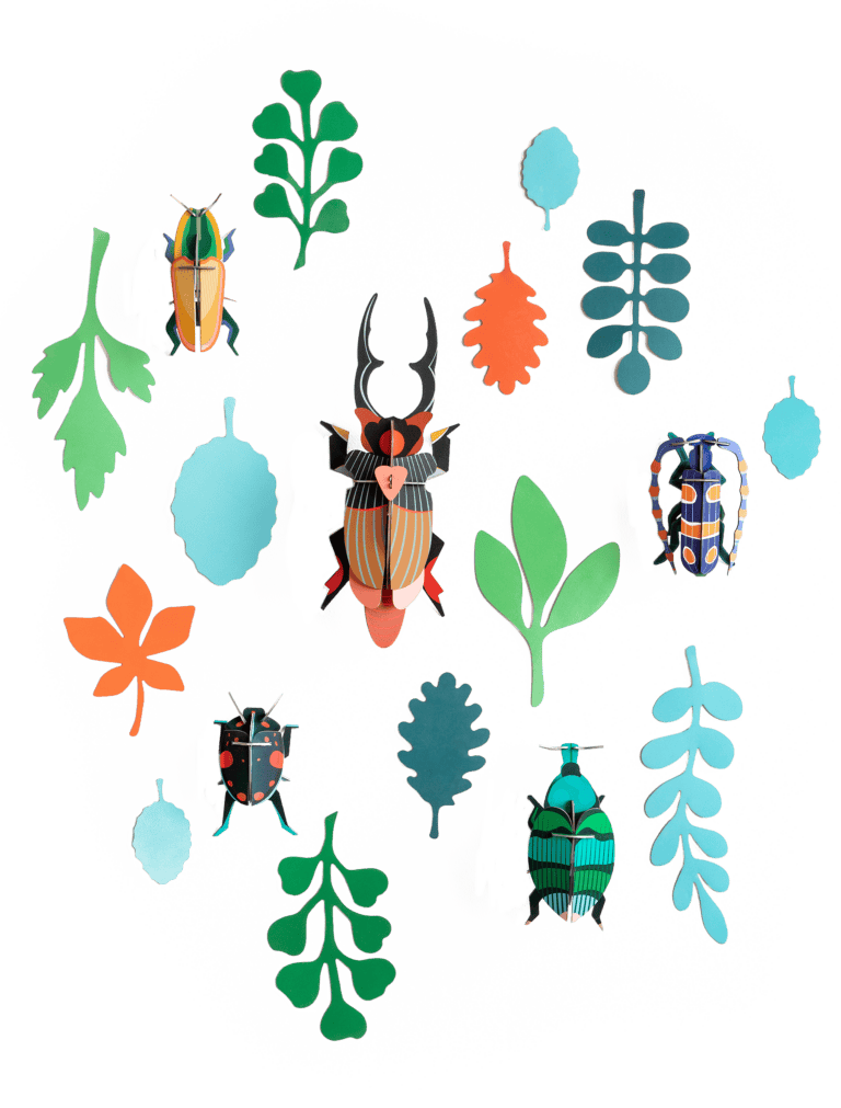 Queen Beetle - Studio ROOF