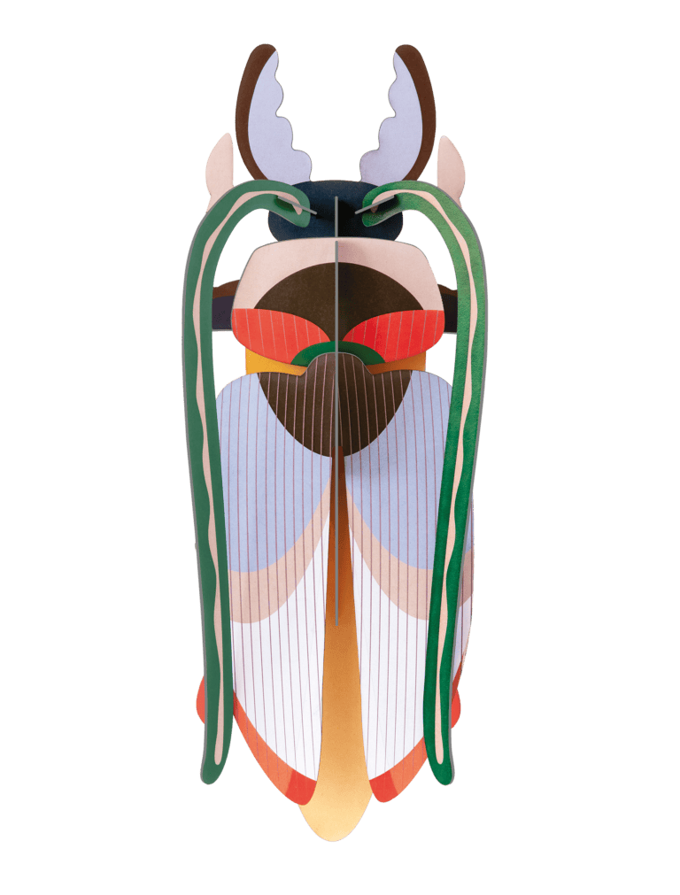 Cosmos Beetle - Studio ROOF