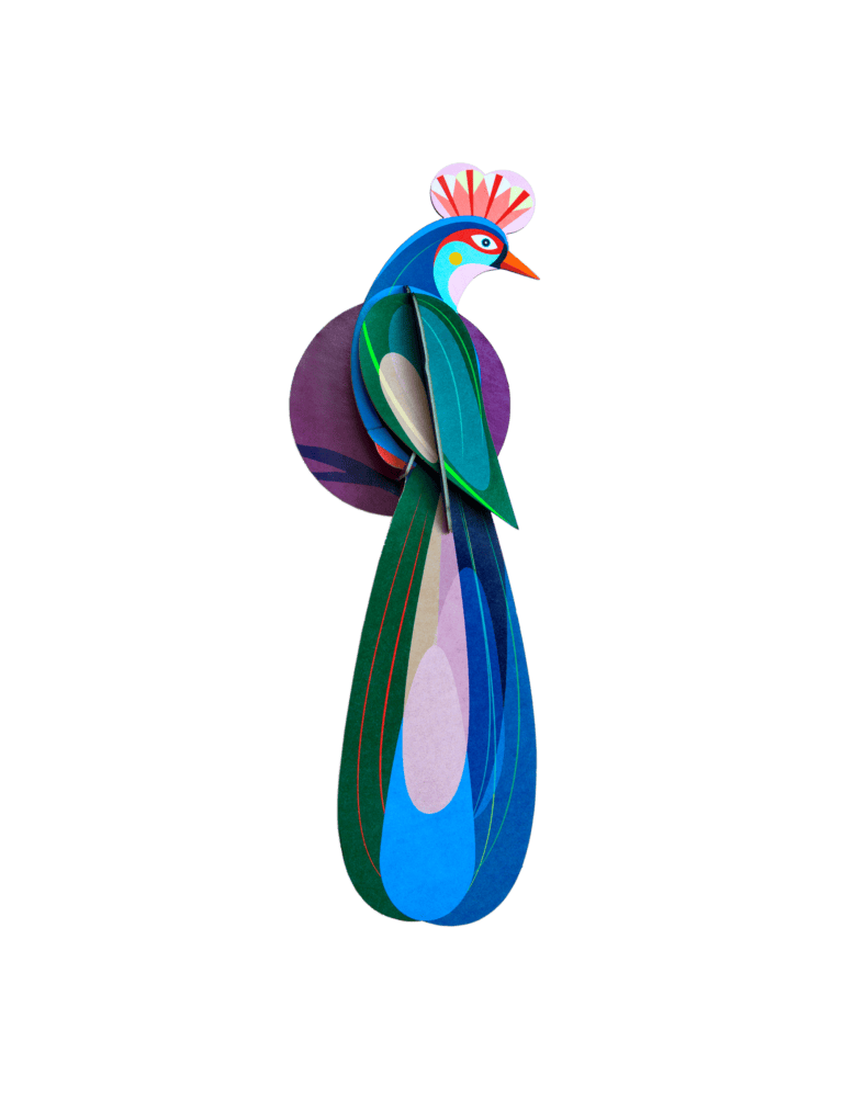 Paradise Bird, Obi - Studio ROOF