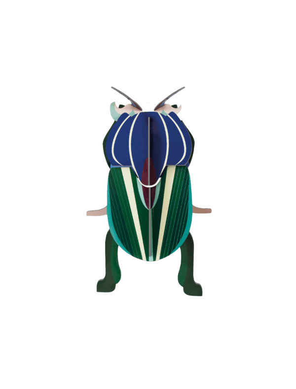Mimela Scarab Beetle - Studio ROOF