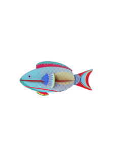 Parrotfish - Studio ROOF