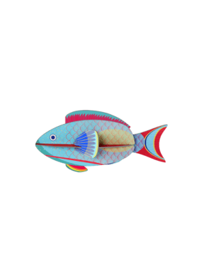 Parrotfish - Studio ROOF