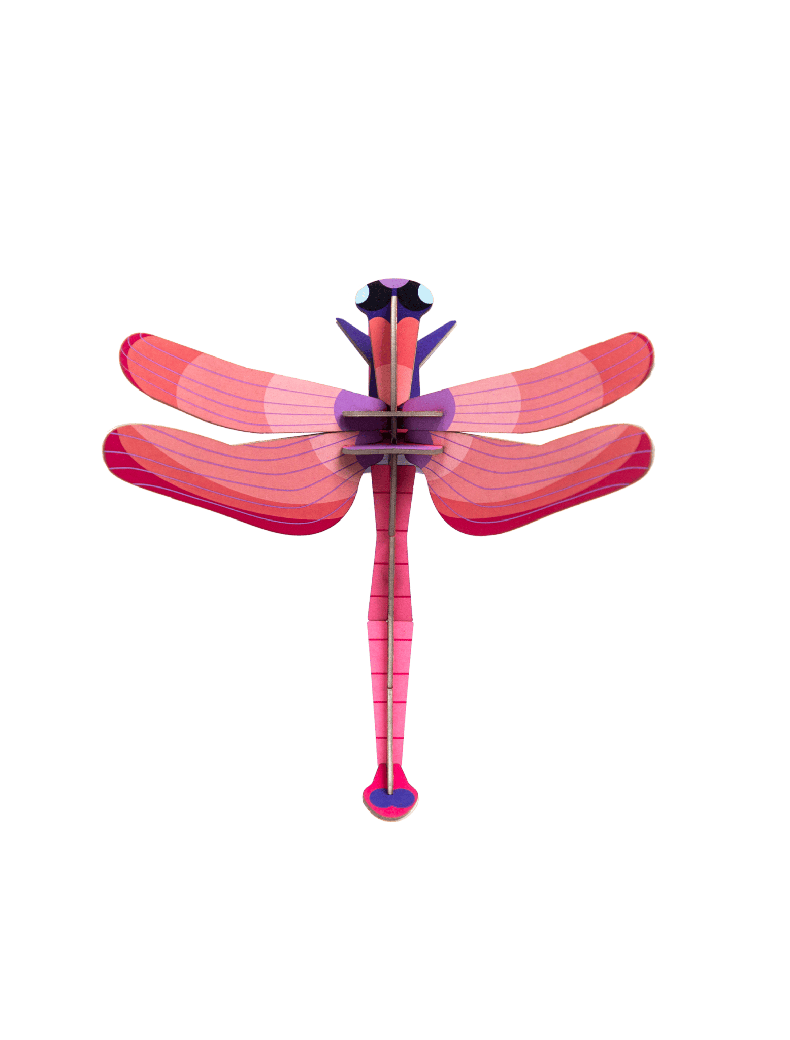 Ruby Dragonfly - Studio ROOF