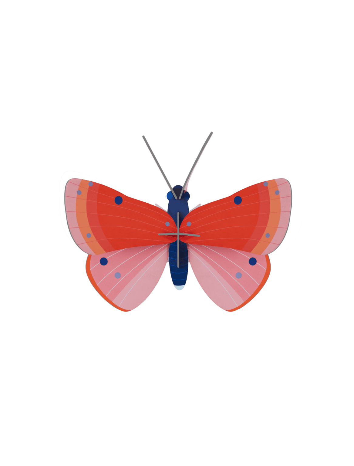 Cattleheart Butterfly - Studio ROOF